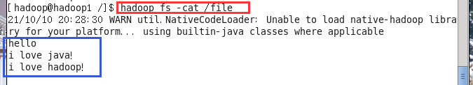 使用Hadoop fs -ls /file出现No such file or directory报错解决方法_hadoop no such file or directory-CSDN博客