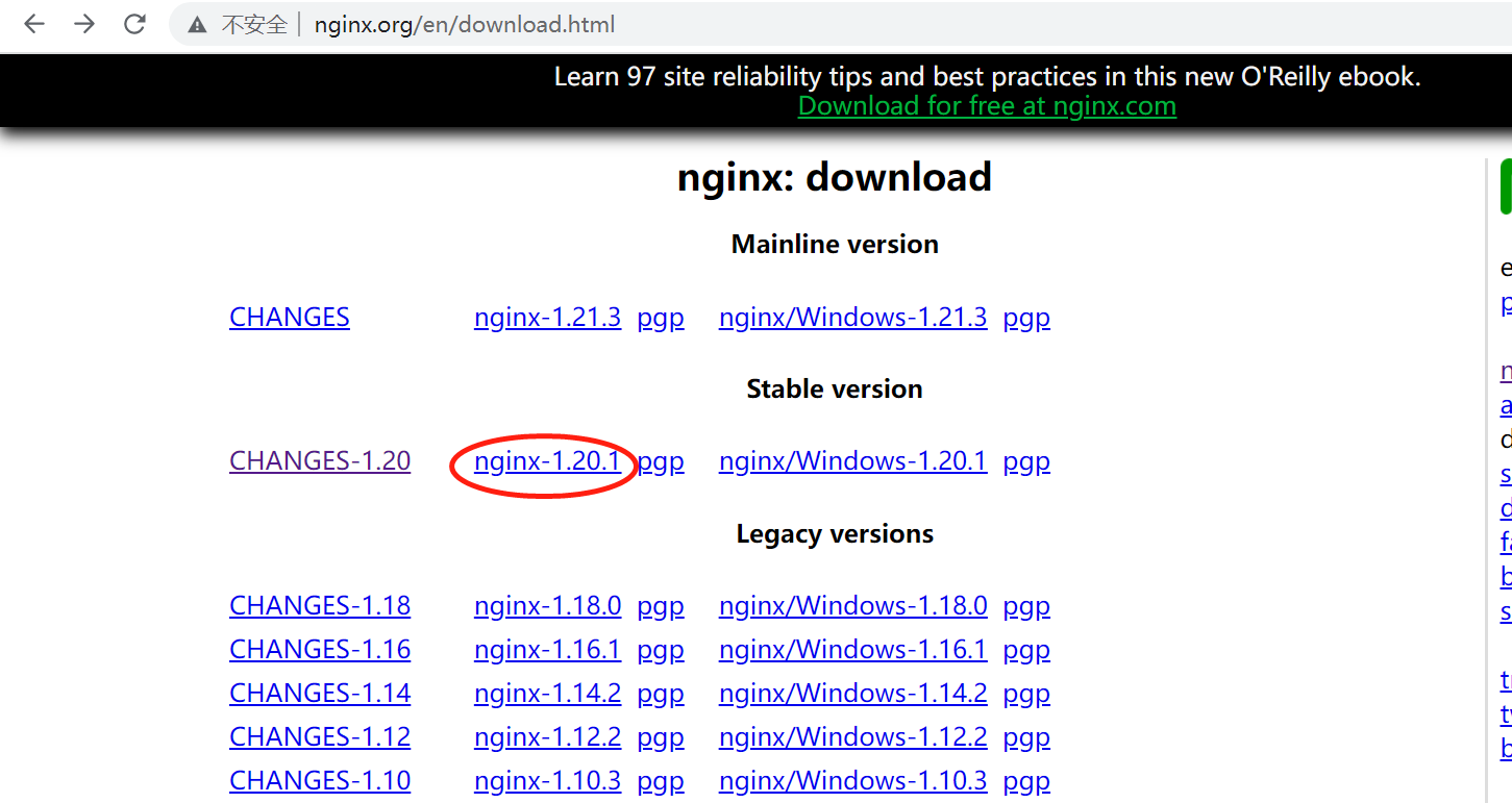 Linux下JAVA WEB服务器的搭建三（NGINX）_nginx部署javaweb项目-CSDN博客