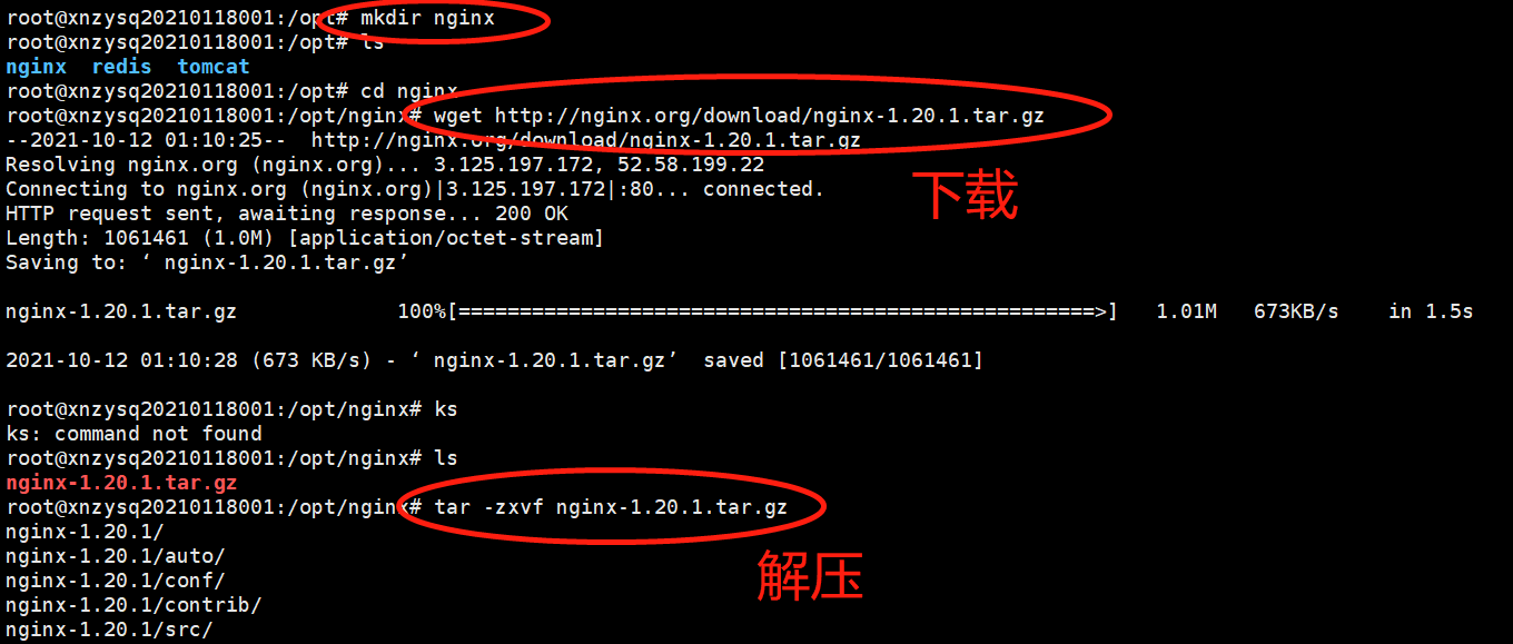 Linux下JAVA WEB服务器的搭建三（NGINX）_nginx部署javaweb项目-CSDN博客