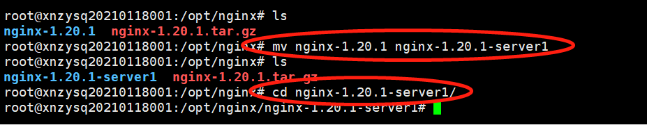 Linux下JAVA WEB服务器的搭建三（NGINX）_nginx部署javaweb项目-CSDN博客