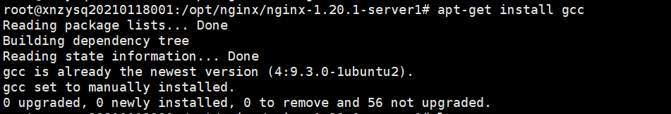 Linux下JAVA WEB服务器的搭建三（NGINX）_nginx部署javaweb项目-CSDN博客