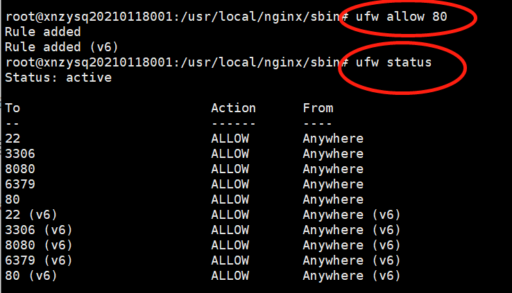 Linux下JAVA WEB服务器的搭建三（NGINX）_nginx部署javaweb项目-CSDN博客