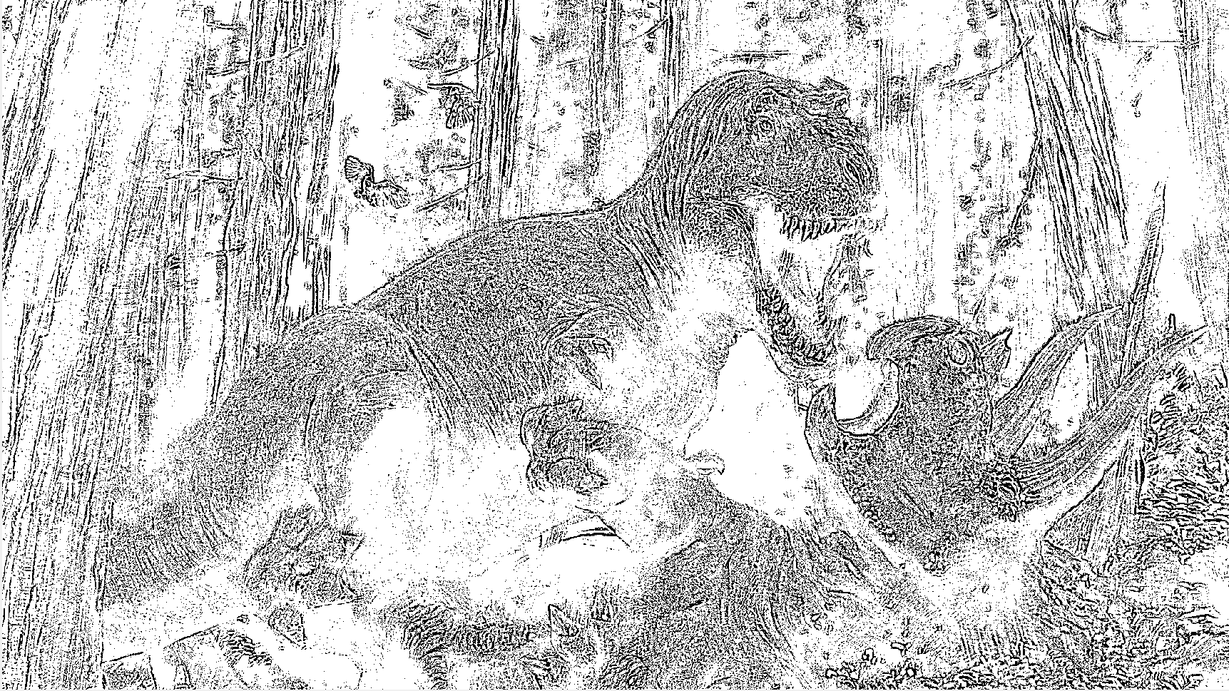 OpenCV-自适应阈值函数cv::adaptiveThreshold-CSDN博客