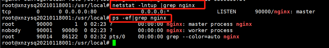 Linux下JAVA WEB服务器的搭建三（NGINX）_nginx部署javaweb项目-CSDN博客