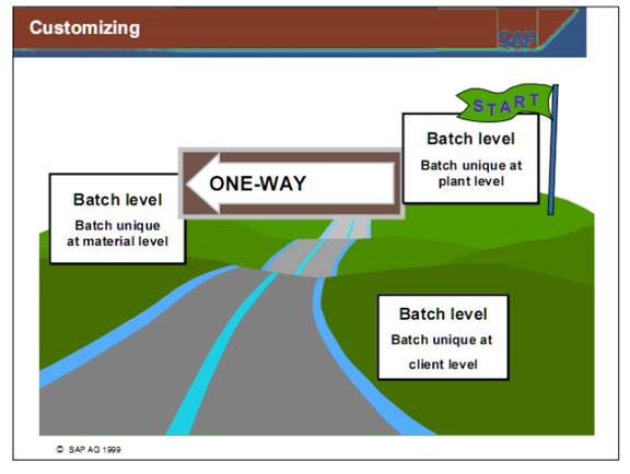 SAP Batch Level Change-CSDN博客