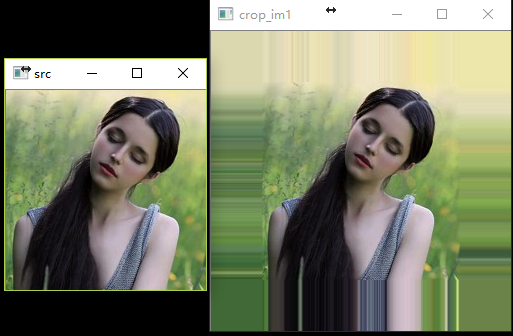 Opencv图像剪切的扩展和高级用法：任意裁剪，边界扩充opencv Cvmat 裁剪 Csdn博客 