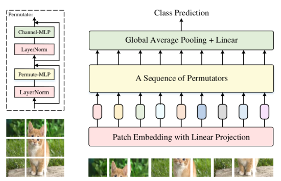 论文阅读笔记 | MLP系列——MLP部分汇总(MLP-Mixer、S2-MLP、AS-MLP、ViP、S2-MLPv2)_mlp ...