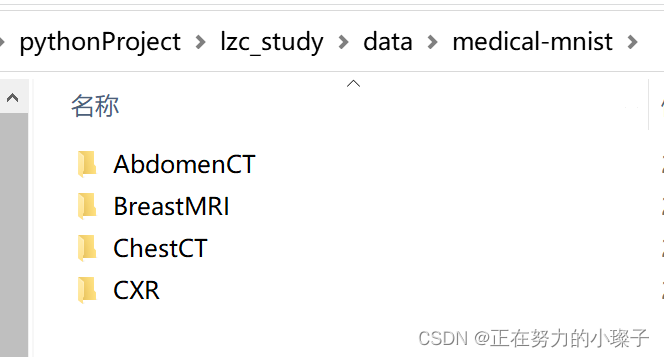 SKLearn实现SVM，使用medical-mnist数据集_medical mnist-CSDN博客