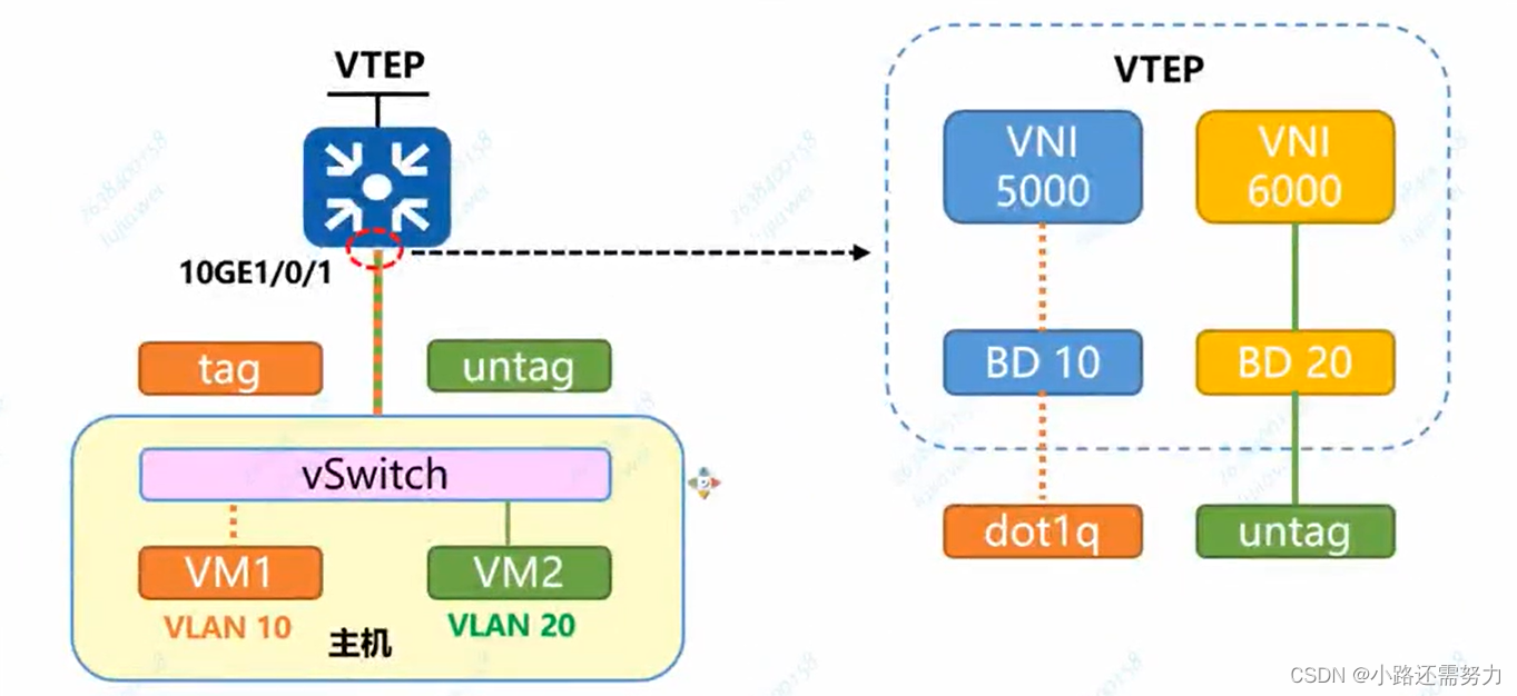 VXLAN基本概念_vxlan 协议号-CSDN博客