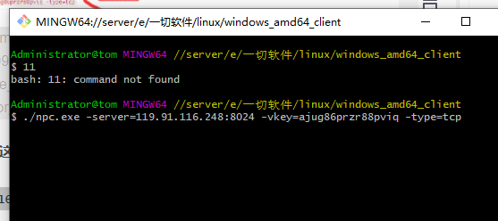 linux npc 安装_npc安装-CSDN博客
