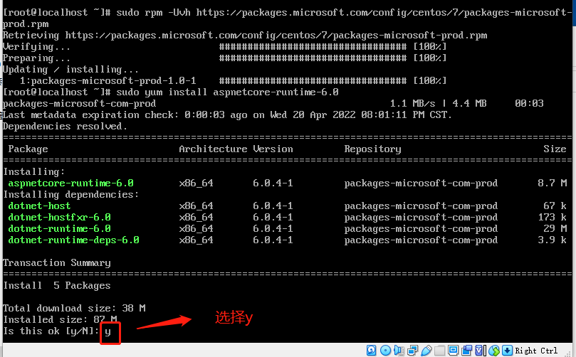 欧拉（openEuler）系统 第一章 安装netcore_欧拉系统安装network服务-CSDN博客