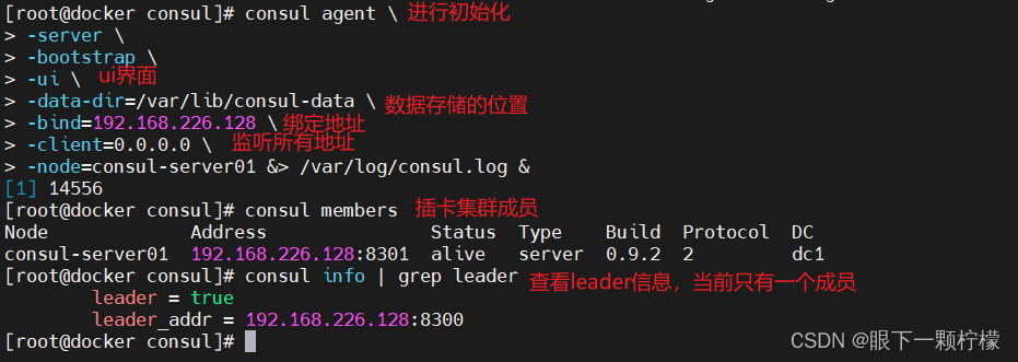 Docker--consul部署_consul单机部署-CSDN博客