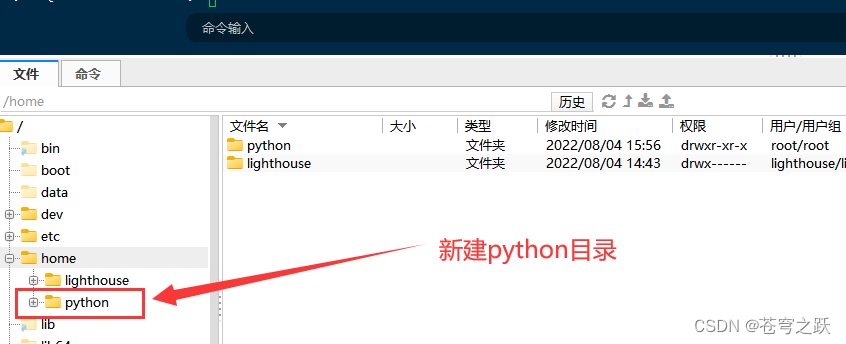Docker运行centos镜像 安装python39环境docker Python39 Csdn博客
