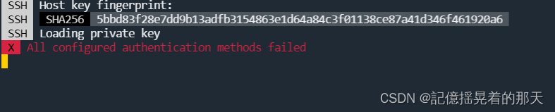 AWS服务器SSH登录不上，用Windows的CMD通过 公有 DNS 完成登录_windterm+私钥文件 aws-CSDN博客