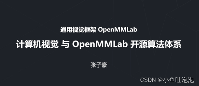 OpenMMLab第一课_基于openmmlab的图像-CSDN博客