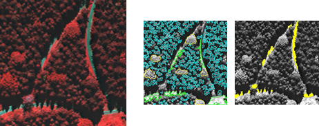 Halcon之Blob分析_halcon blob分析-CSDN博客