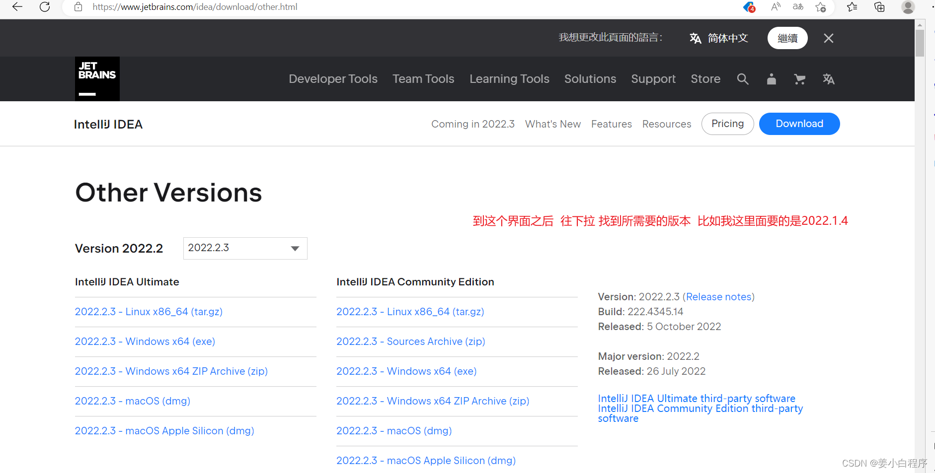 如何下载IDEA其他版本_idea下载其他版本-CSDN博客