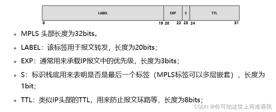 华为HCIA进阶笔记：MPLS 基本原理_华为mpls-CSDN博客