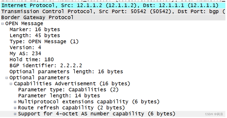 BGP协议-CSDN博客