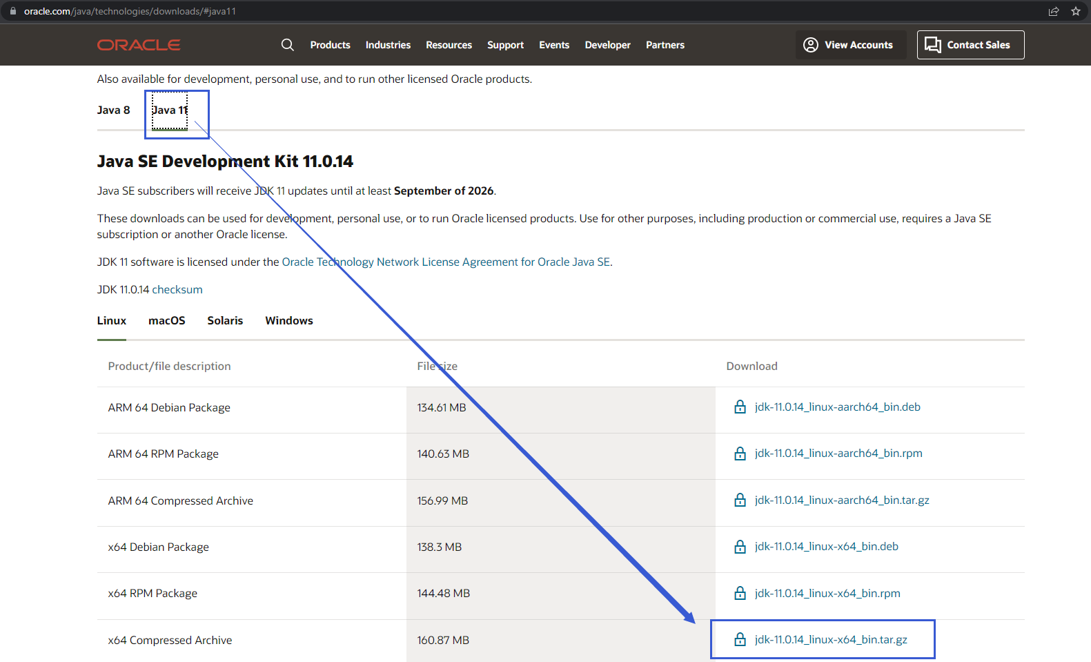 CICD-01-安装 Java(JDK 11)_centos8安装java1.8-CSDN博客
