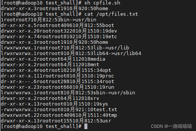 复制根目录下的所有文件及文件夹到opt/files.txt下，打印出第五行内容_麒麟系统如何把u盘文件复制到opt里-CSDN博客