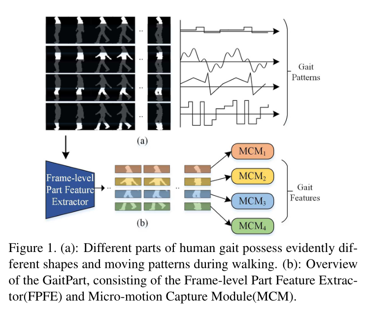 【论文阅读】CVPR 2020：GaitPart: Temporal Part-based Model for Gait Recognition_gaitpart论文-CSDN博客