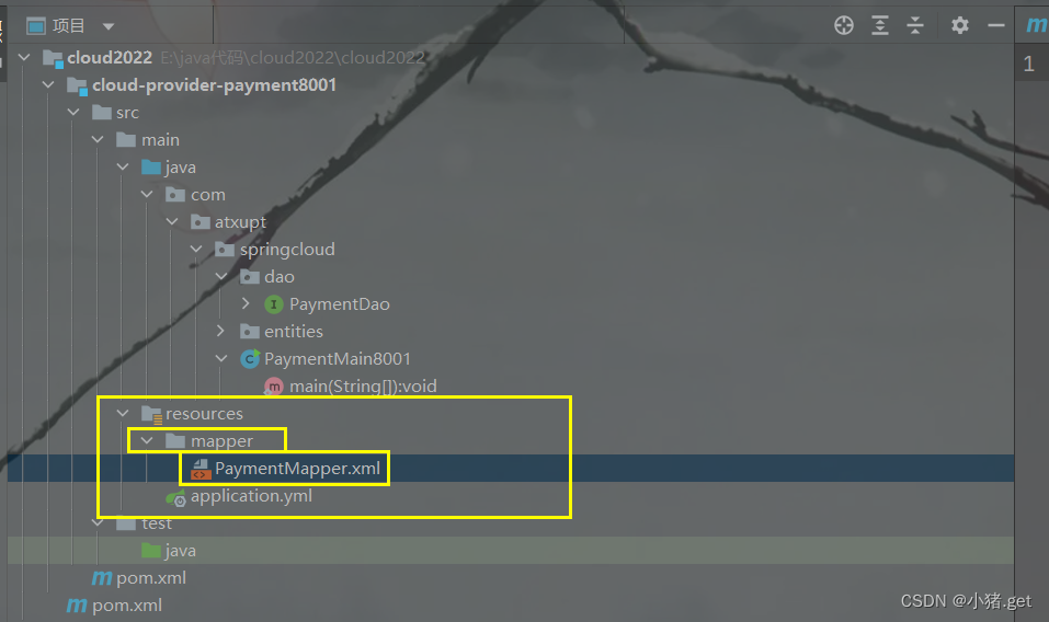 SpringCloud微服务架构编码构建（微服务提供支付模块）_微服务父项目pom 需要 modules-CSDN博客