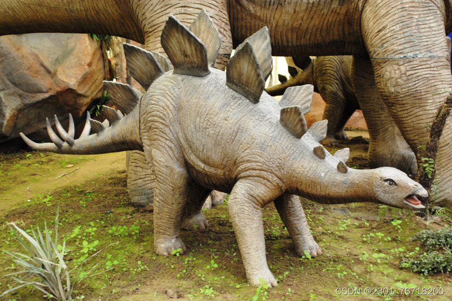 tshark提取_tshark提取不成功-CSDN博客