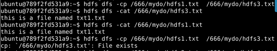 hadoop的基本操作 第一章 使用常用的Shell命令访问HDFS_hadoop列出子目录或子文件-CSDN博客