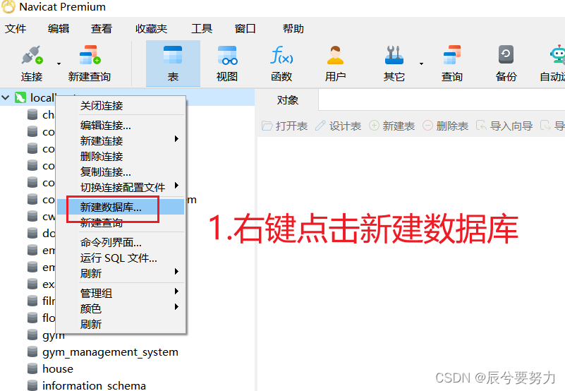 Navicat使用教程（案例详解）-CSDN博客