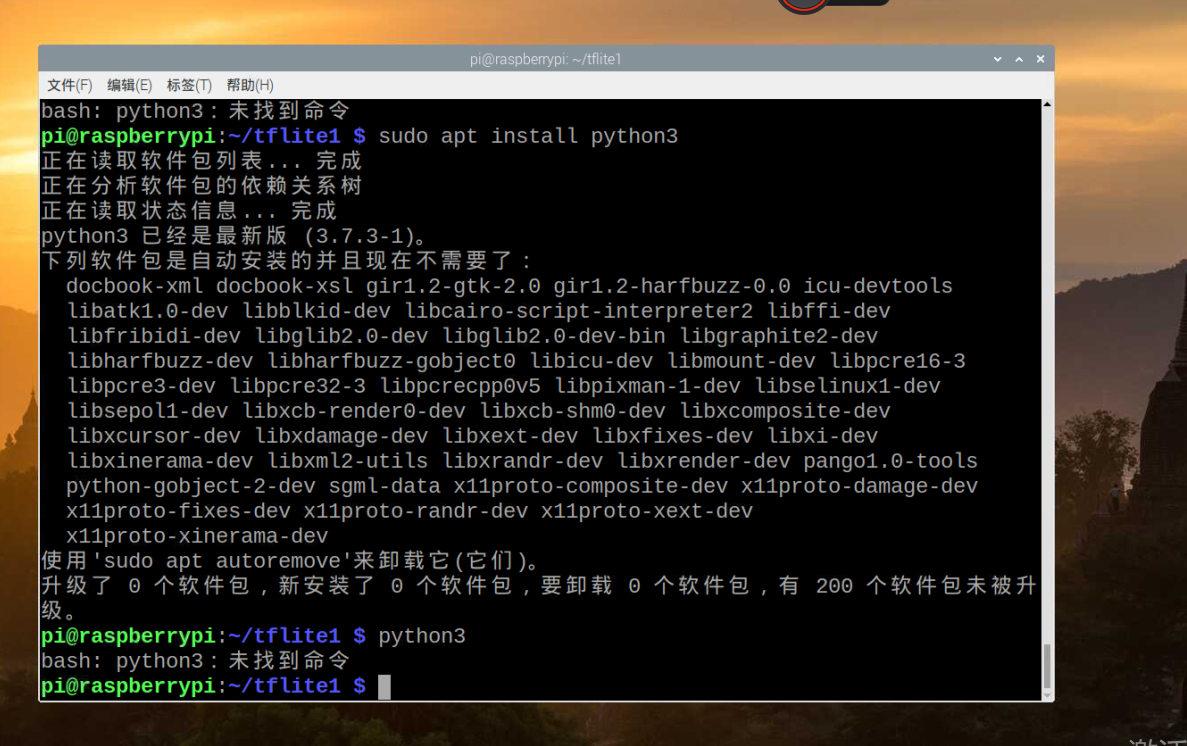2021-09-06树莓派终端python3无法查找版本问题_树莓派输入python指令不显示python版本怎么办-CSDN博客