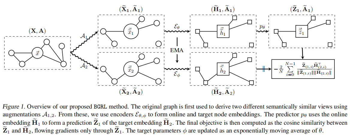 【论文阅读】BGRL：Bootstrapped Representation Learning on Graphs-CSDN博客