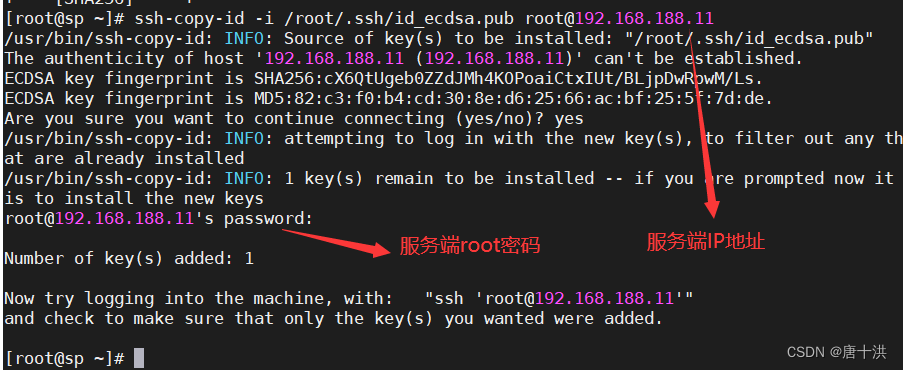 SSH（带实验）+DNS（带实验）_ssh dns-CSDN博客