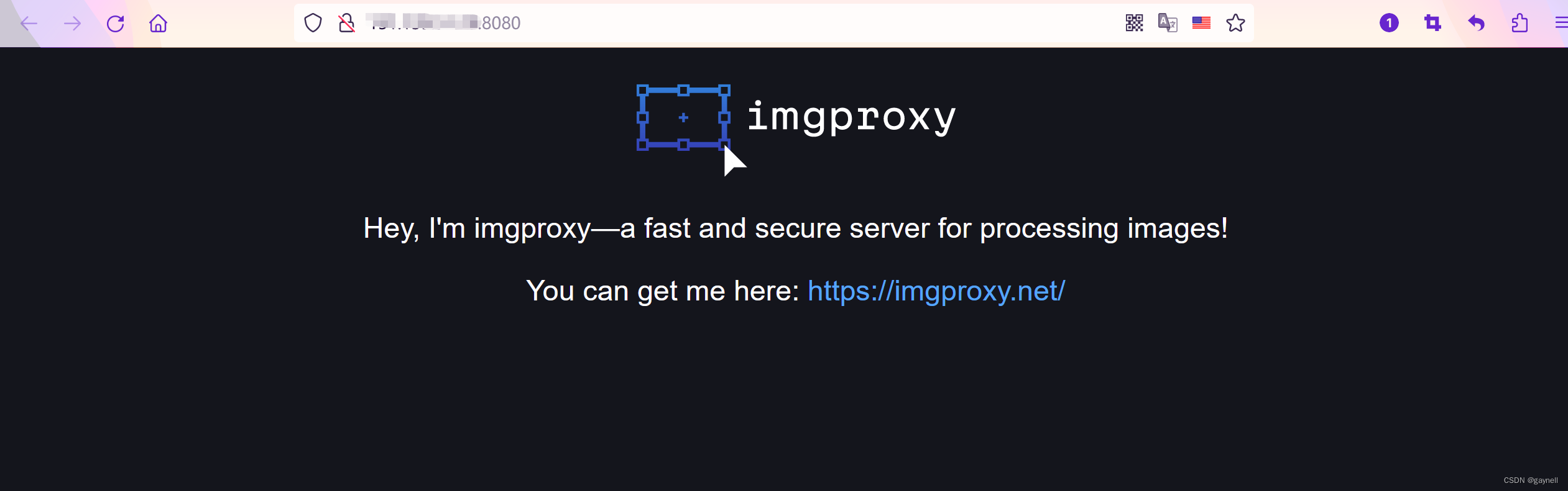 Imgproxy服务器端请求伪造（SSRF）漏洞(CVE-2023-30019)复现-CSDN博客