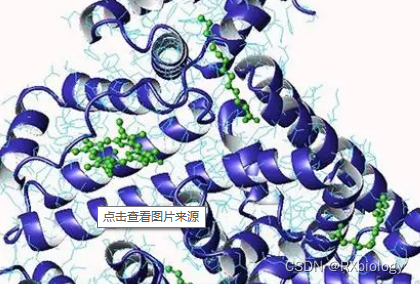 罗丹明标记BSA，BSA,Rhodamine labeled /Cy5标记BSA，BSA,Cy5 labeled_罗丹明染bsa-CSDN博客
