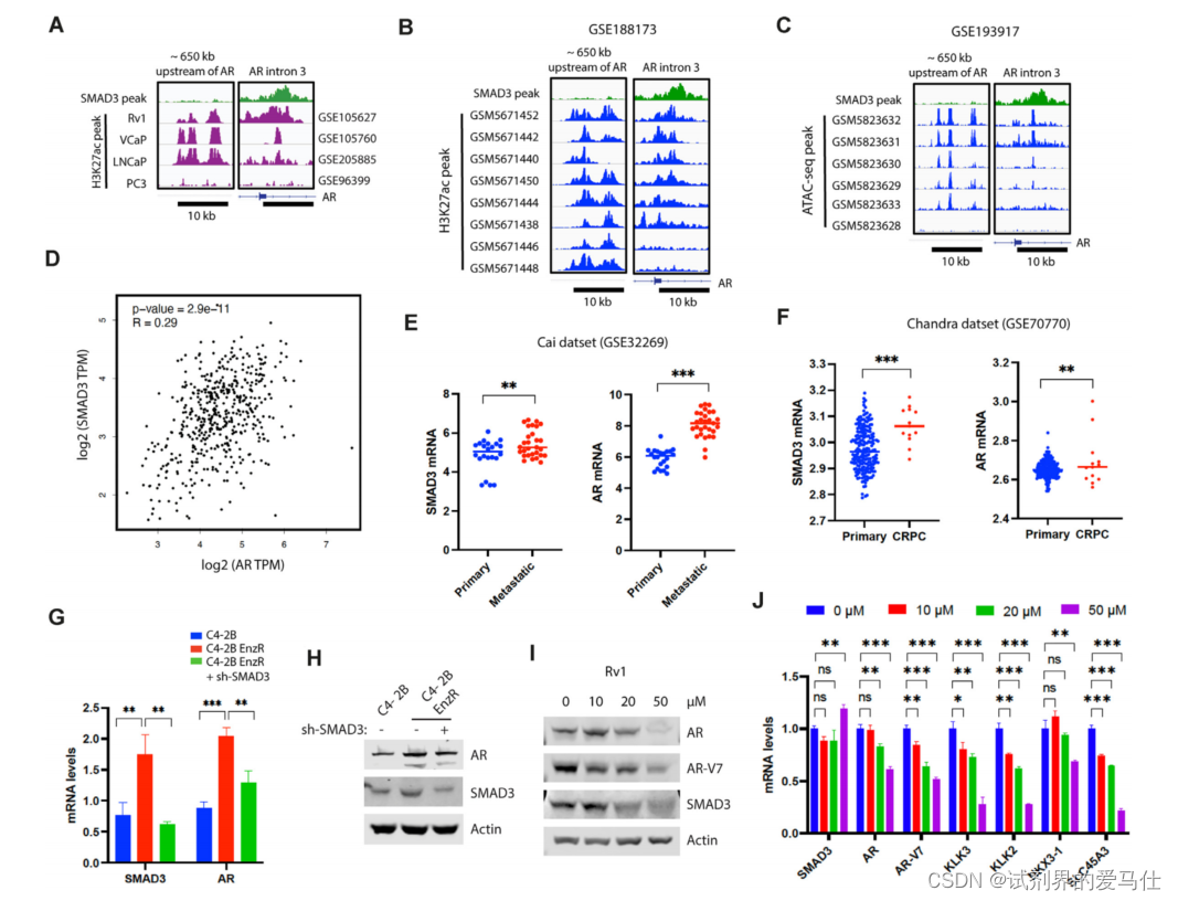 SMAD3促进前列腺癌中雄激素受体的表达和活性_smad2蛋白高而smad3蛋白低-CSDN博客