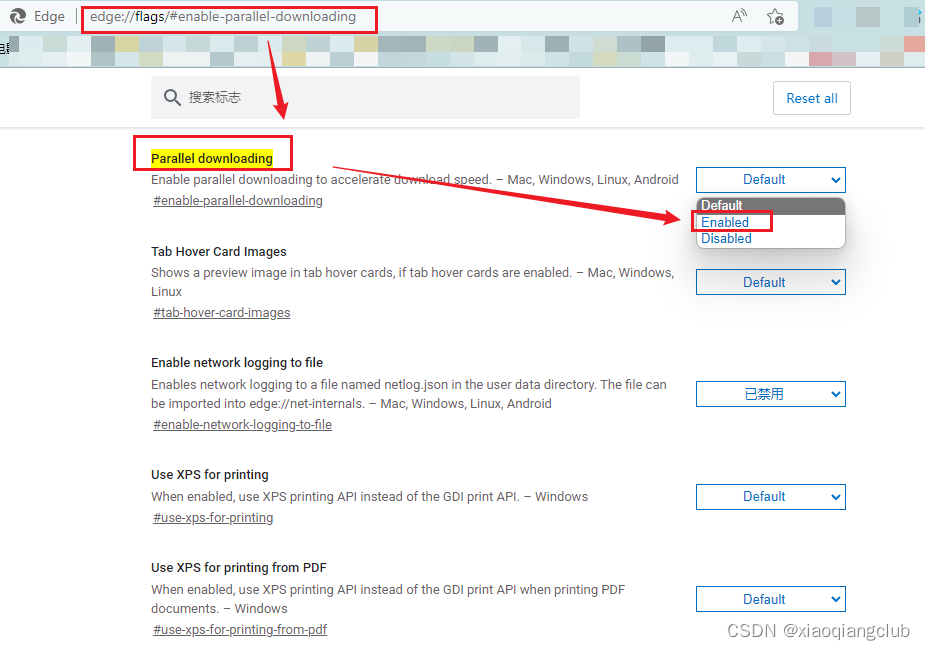 【网络教程】Chrome内核浏览器开启多线程下载（edge chrome）_chrome开启多线程下载-CSDN博客