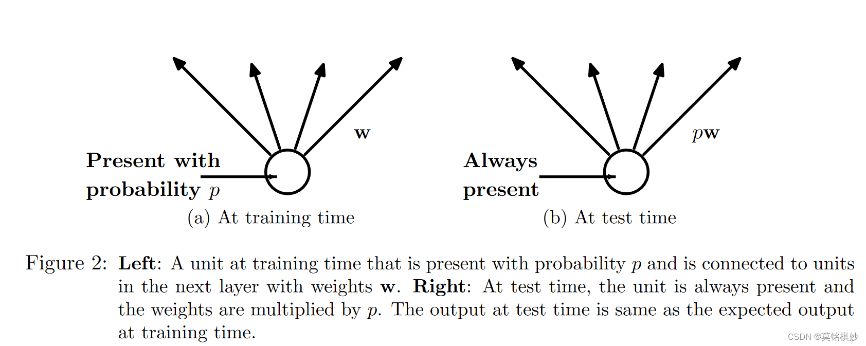 [deep_thought Pytorch教程] 学习笔记15 Dropout原理以及其TF/Torch/Numpy源码实现_nn.dropout-CSDN博客