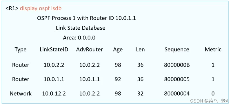 OSPF协议-CSDN博客