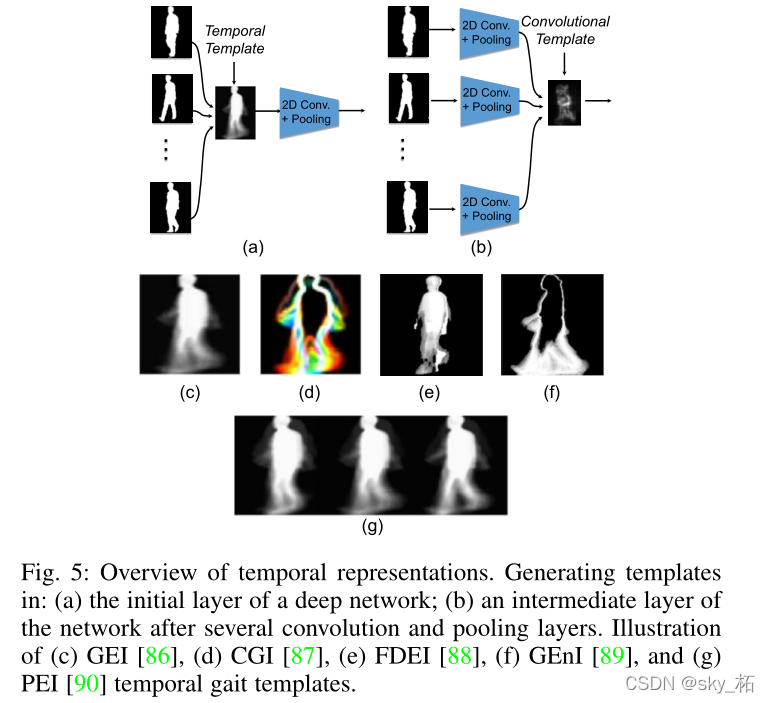 【深度学习】步态识别 论文阅读:(t Pami 2021)综述deep Gait Recognitionpami 综述 Csdn博客