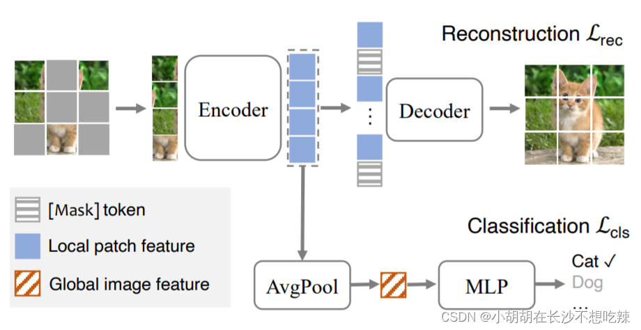 SupMAE: Supervised Masked Autoencoders Are Efficient Vision Learners-CSDN博客