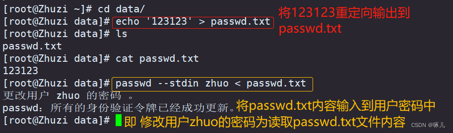 Shell脚本——编程规范与echo命令_shell echo-CSDN博客