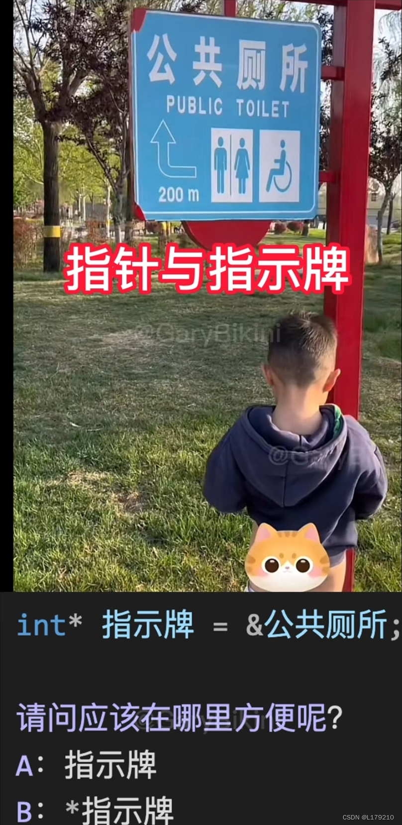 指针指示牌笑话 Csdn博客 