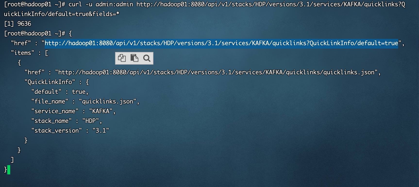Ambari添加快速链接Quick Links_quicklinks.json-CSDN博客