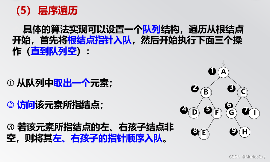 数据结构与算法复习(自用) Csdn博客