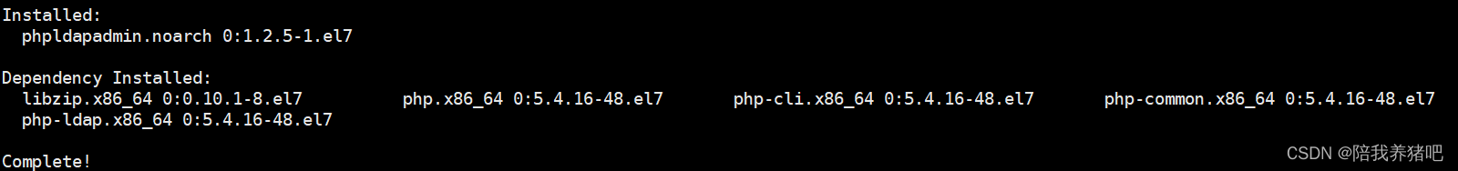 全网最全Centos7.9搭建LDAP服务器+图形界面_ldap服务器搭建-CSDN博客