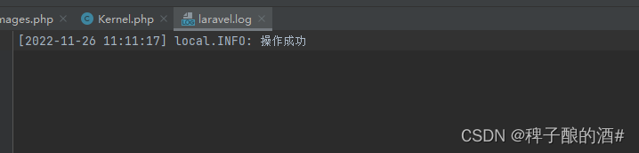 Laravel8创建定时任务laravel 定时任务稗子酿的酒的博客 Csdn博客