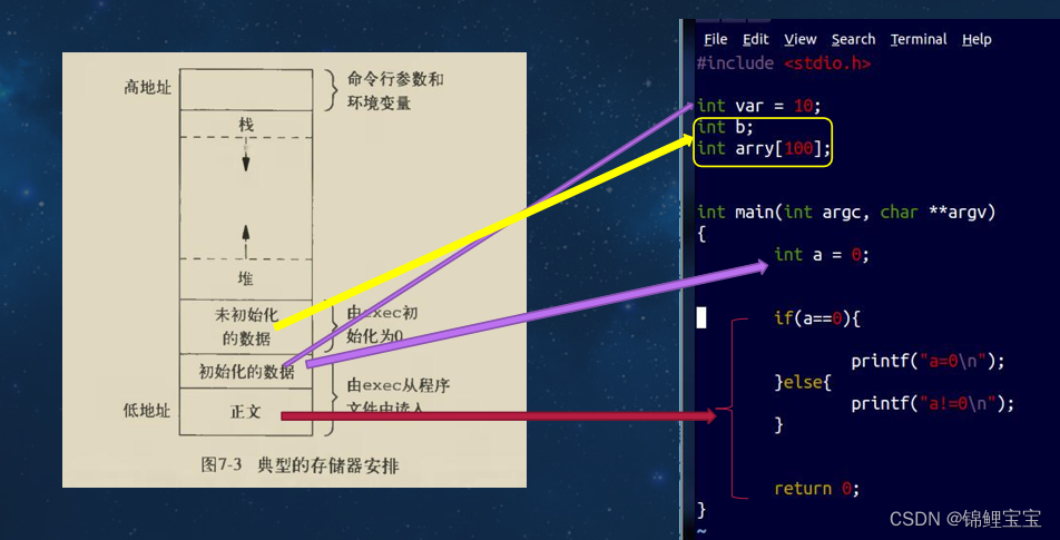 Linux进程之API（上）（fork、vfork、wait、waitpid）_锦鲤宝宝的博客-CSDN博客