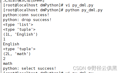 dmPython的使用_import dmpython-CSDN博客